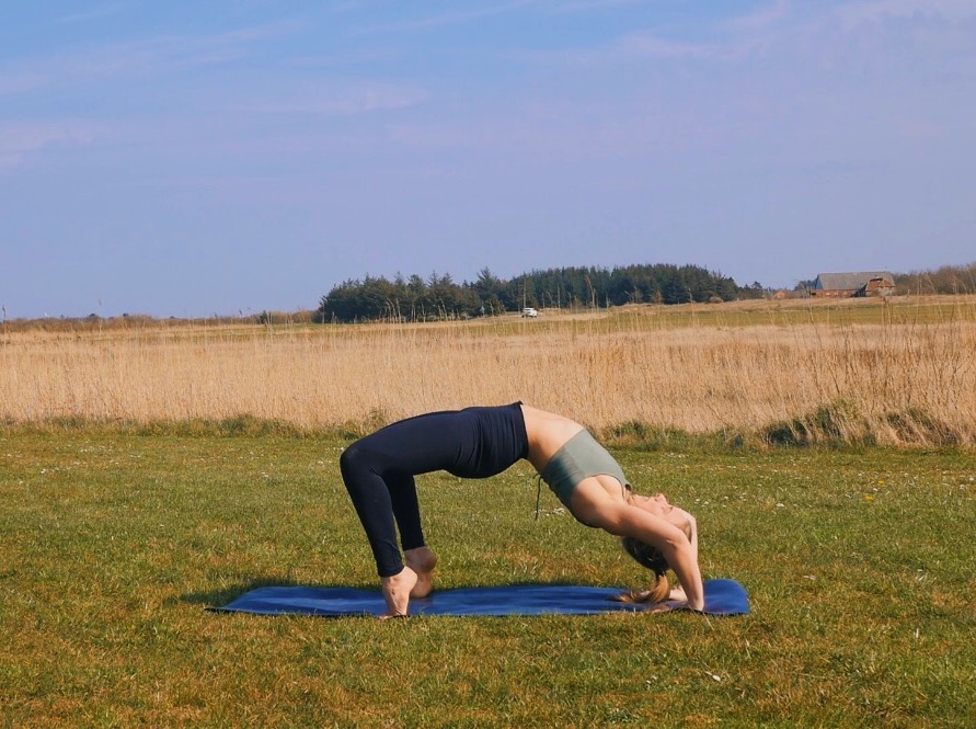 Everything You Need To Know To Do Wheel Pose - Camilla Mia