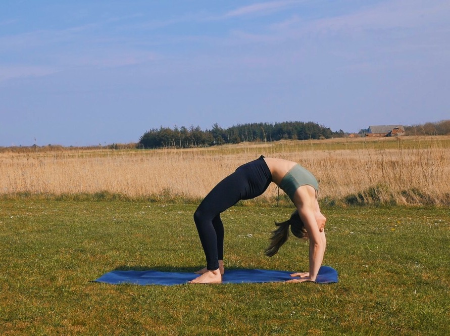 Everything You Need To Know To Do Wheel Pose - Camilla Mia