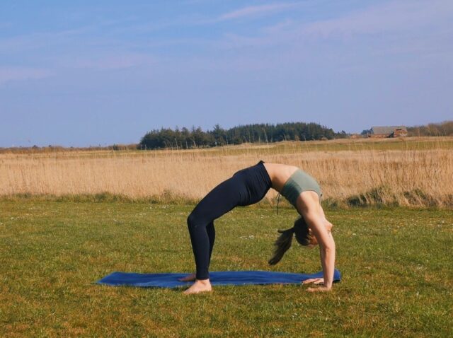 Everything You Need To Know To Do Wheel Pose - Camilla Mia